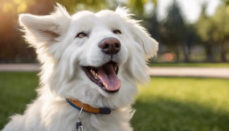 Mastering Lip Reading: Where to Start - Deaf Vibes